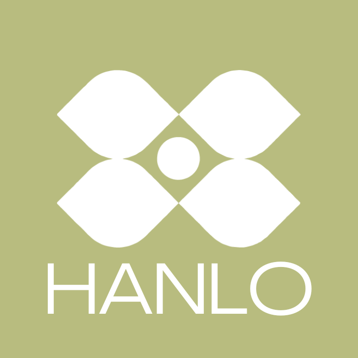 From Shy to Intimate: Building Confidence in Your Relationship – HANLO ...